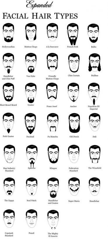 Insight into the Different Beard Textures and Types – My Beard Gang
